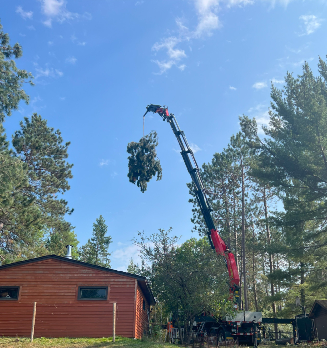 Minnesota Tree Service & Land Clearing | Wilderness LC&M