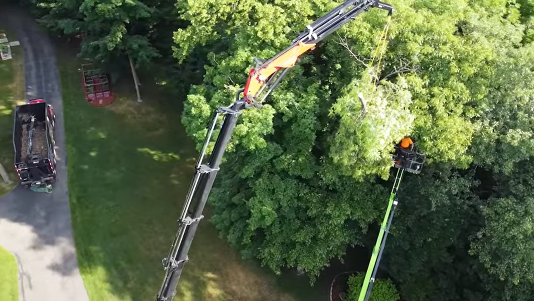 Minnesota Tree Trimming & Pruning | Wilderness LC&M
