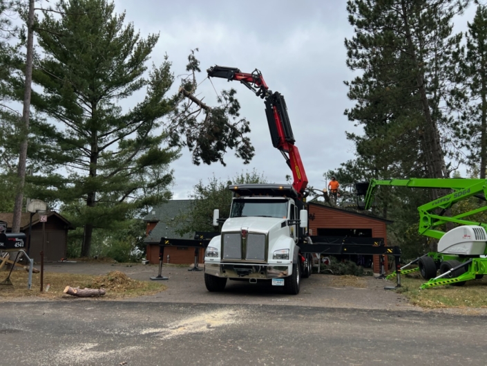 Tree-MEK Crane Tree Removal Machine | Wilderness Land Clearing